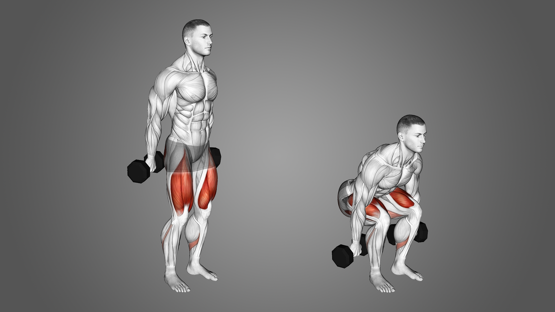Dumbbell Hack Squat: Benefits, Muscles Worked, and More - Inspire US
