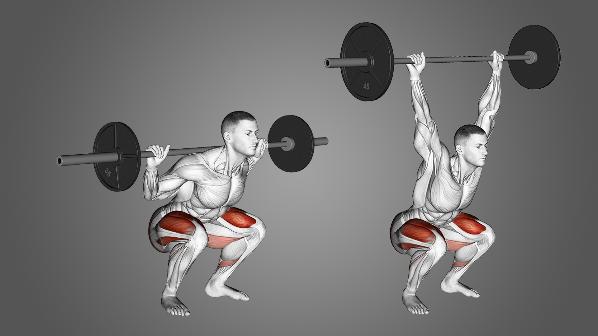 Overhead Squat vs Back Squat: Differences Explained - Inspire US