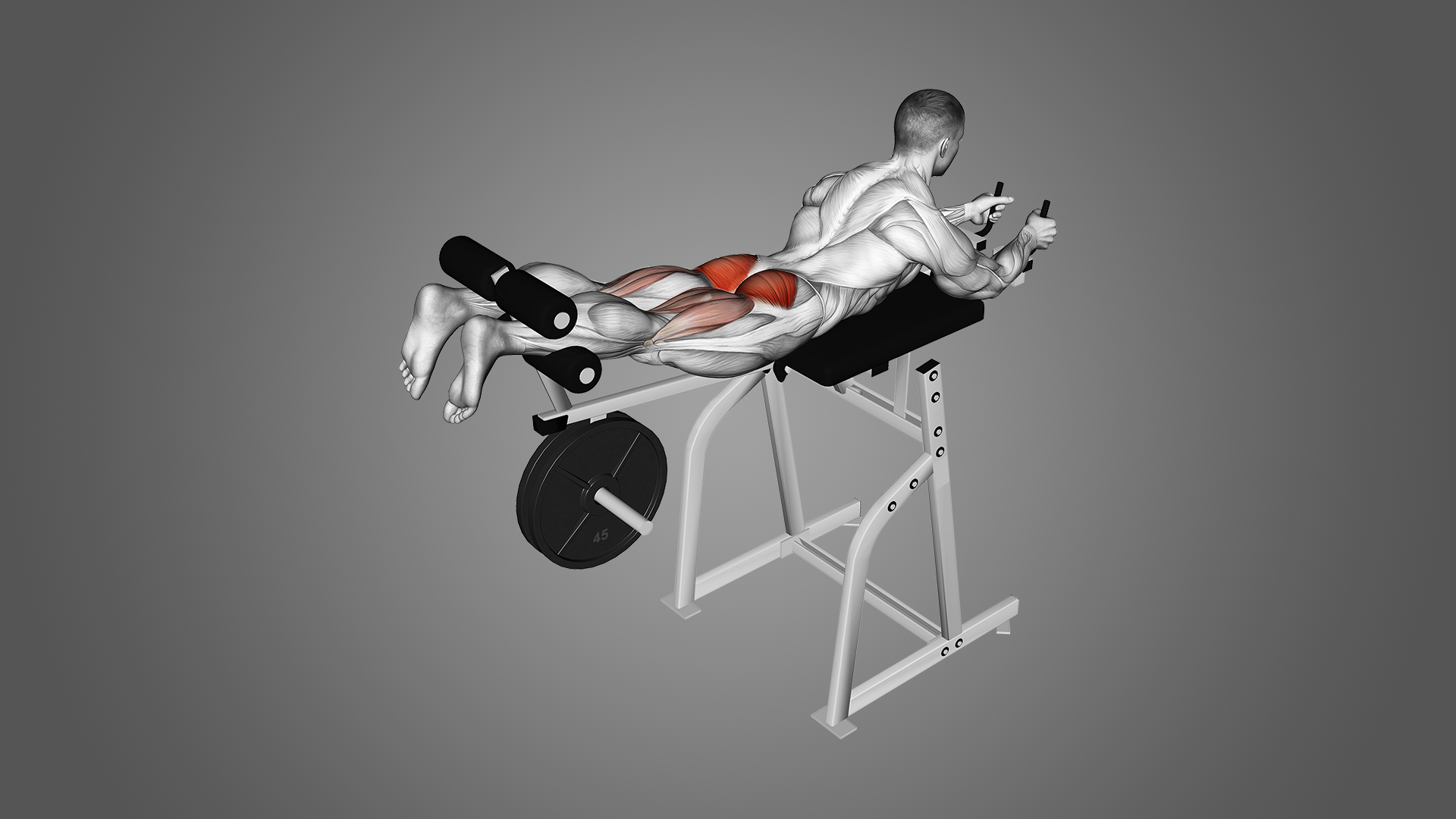 Reverse Hyperextension: Benefits, Muscles Worked, and More - Inspire US