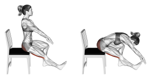 Seated Hamstring Stretch: Benefits, Muscles Targeted, and More - Inspire US