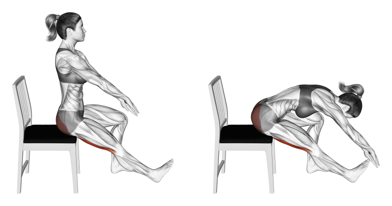 Seated Hamstring Stretch: Benefits, Muscles Targeted, and More - Inspire US