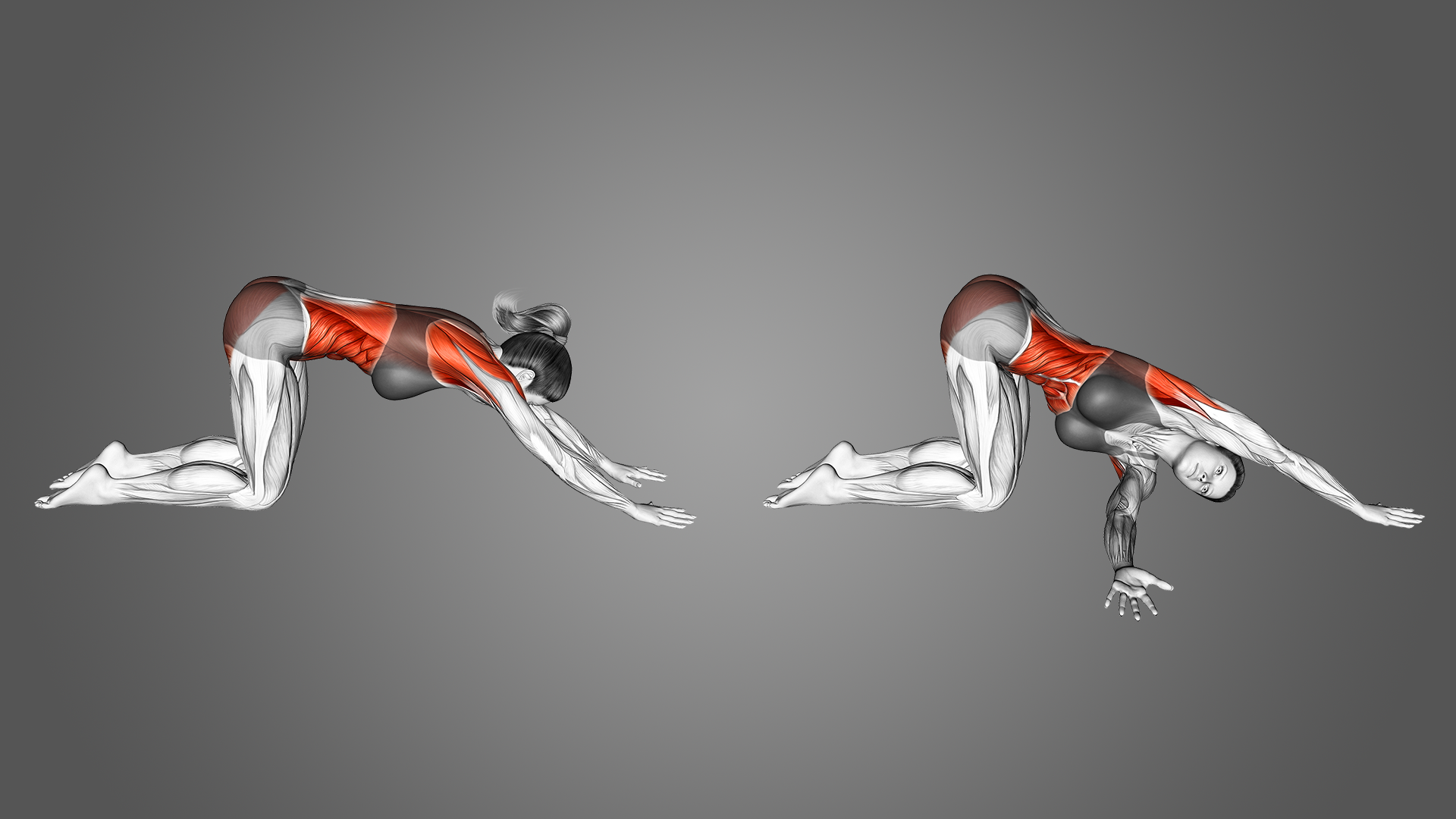 Thread the Needle Stretch: Benefits, Muscles Worked, and More - Inspire US