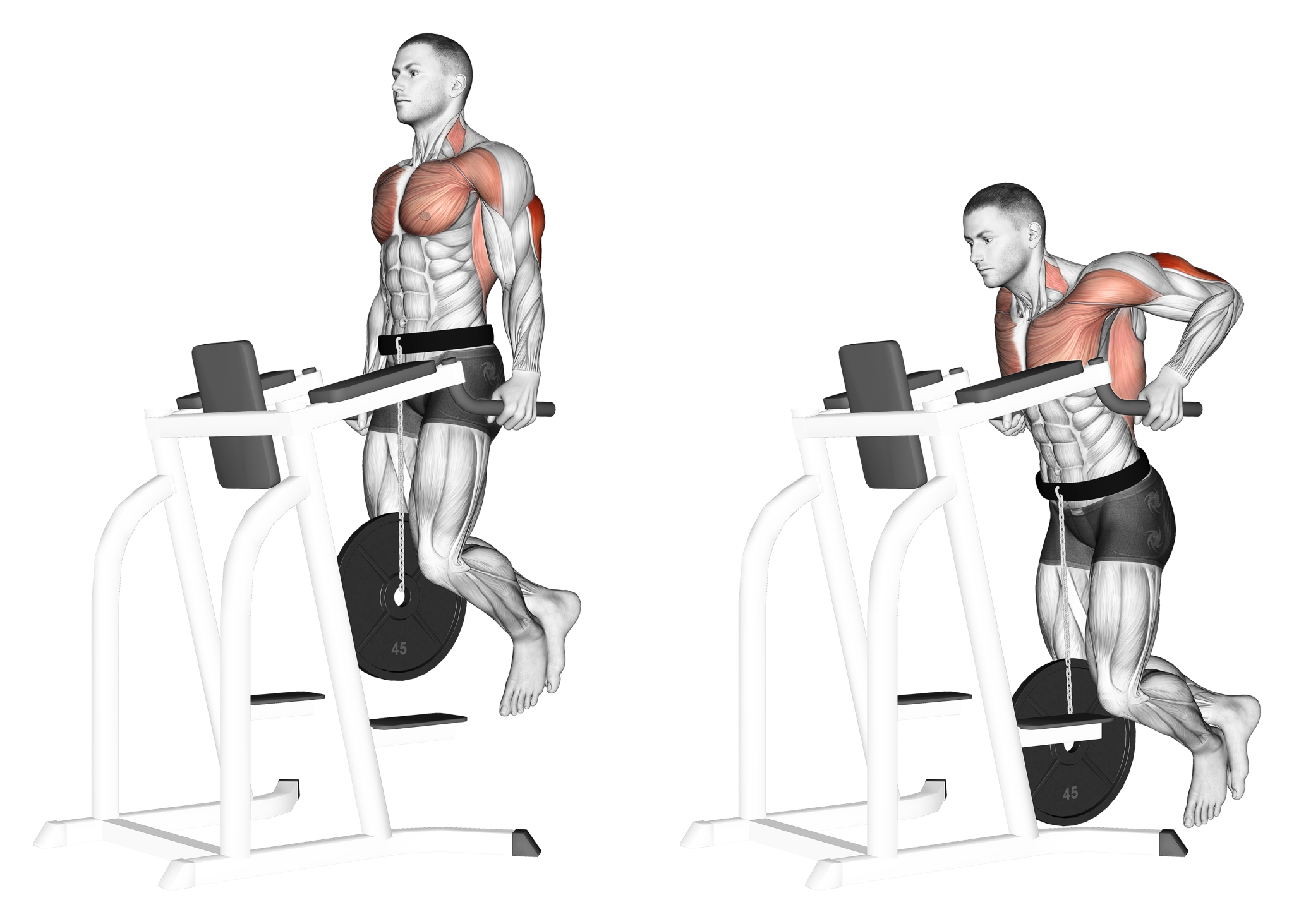 7 Best Bench Press Alternatives: with Pictures! - Inspire US