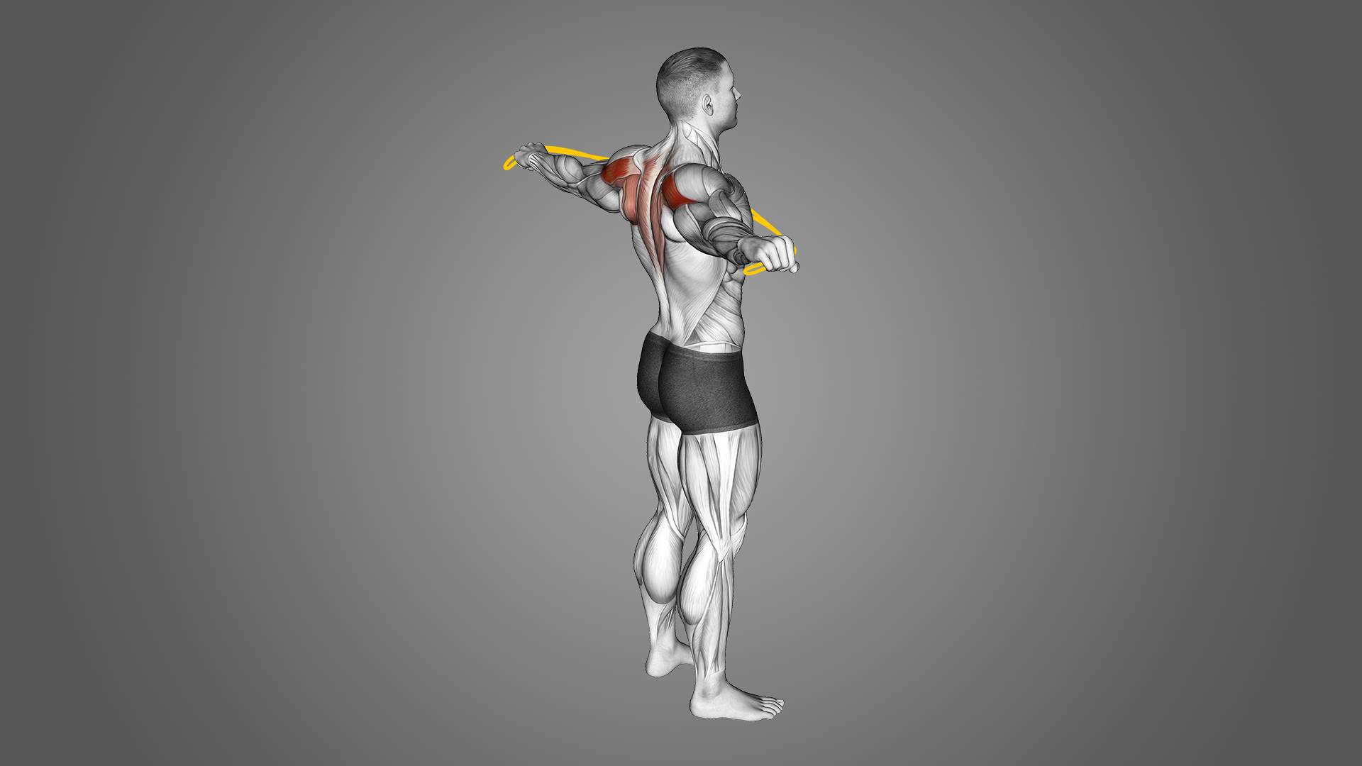 Resistance Band Pull Aparts: Benefits, Muscles Worked, and More ...