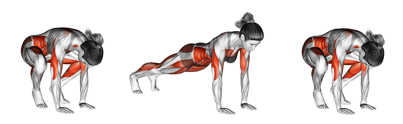 8 Best Burpee Variations (with Pictures!) - Inspire US