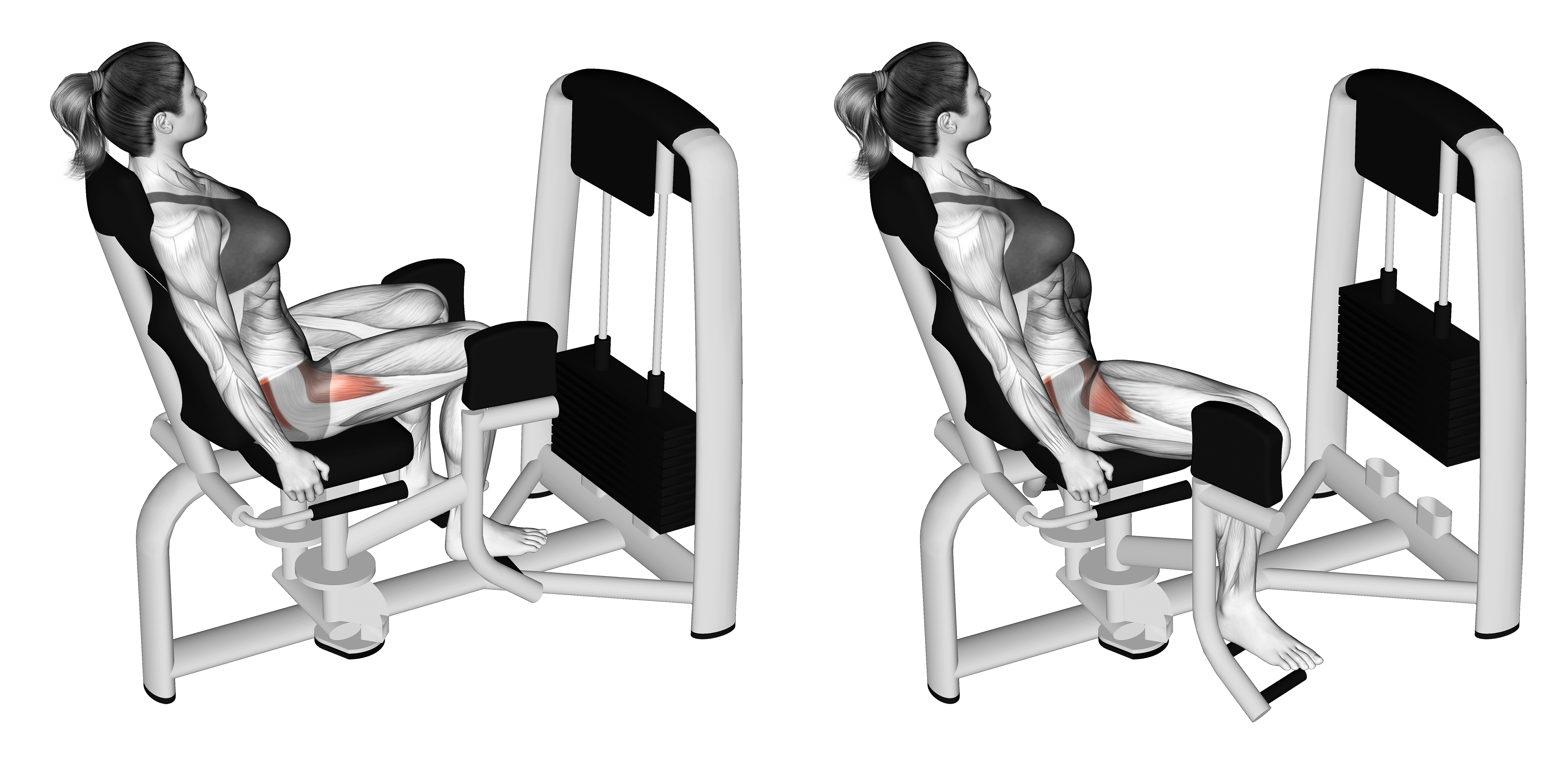 Machine Seated Hip Abduction: Benefits, Muscles Worked, and More ...