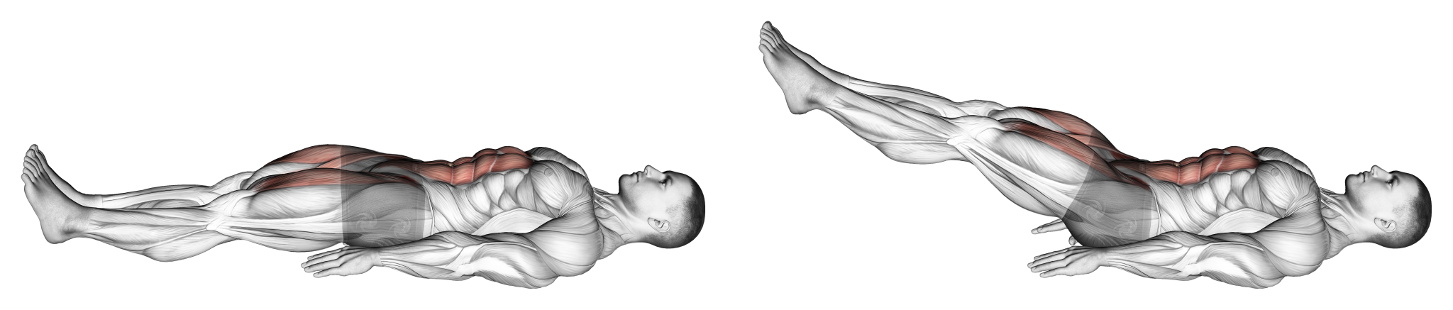 6 Best Plank Alternatives (with Pictures!) - Inspire US