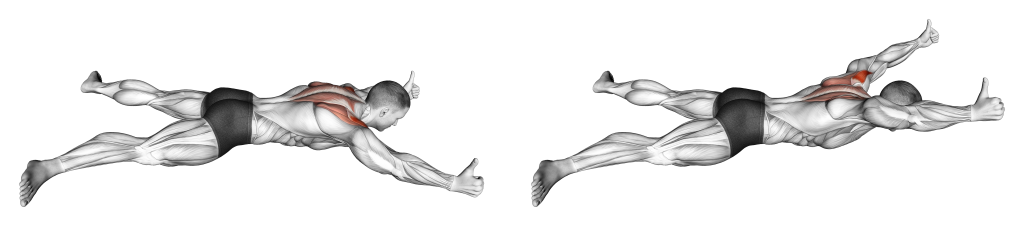 Prone Y Raises: Benefits, Muscles Worked, and More - Inspire US