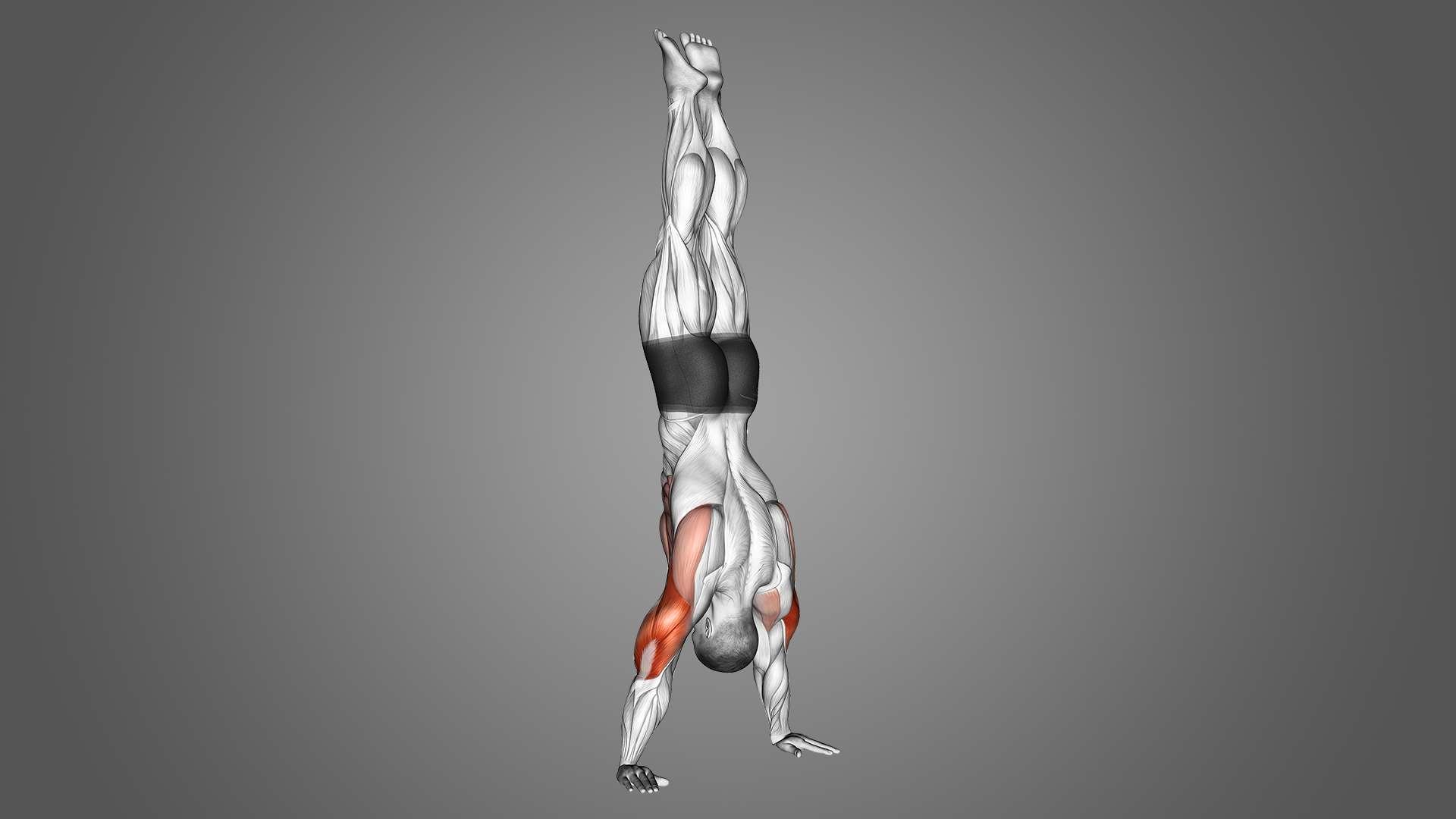 Standing On the Hands: The Benefits of Handstands - Inspire US