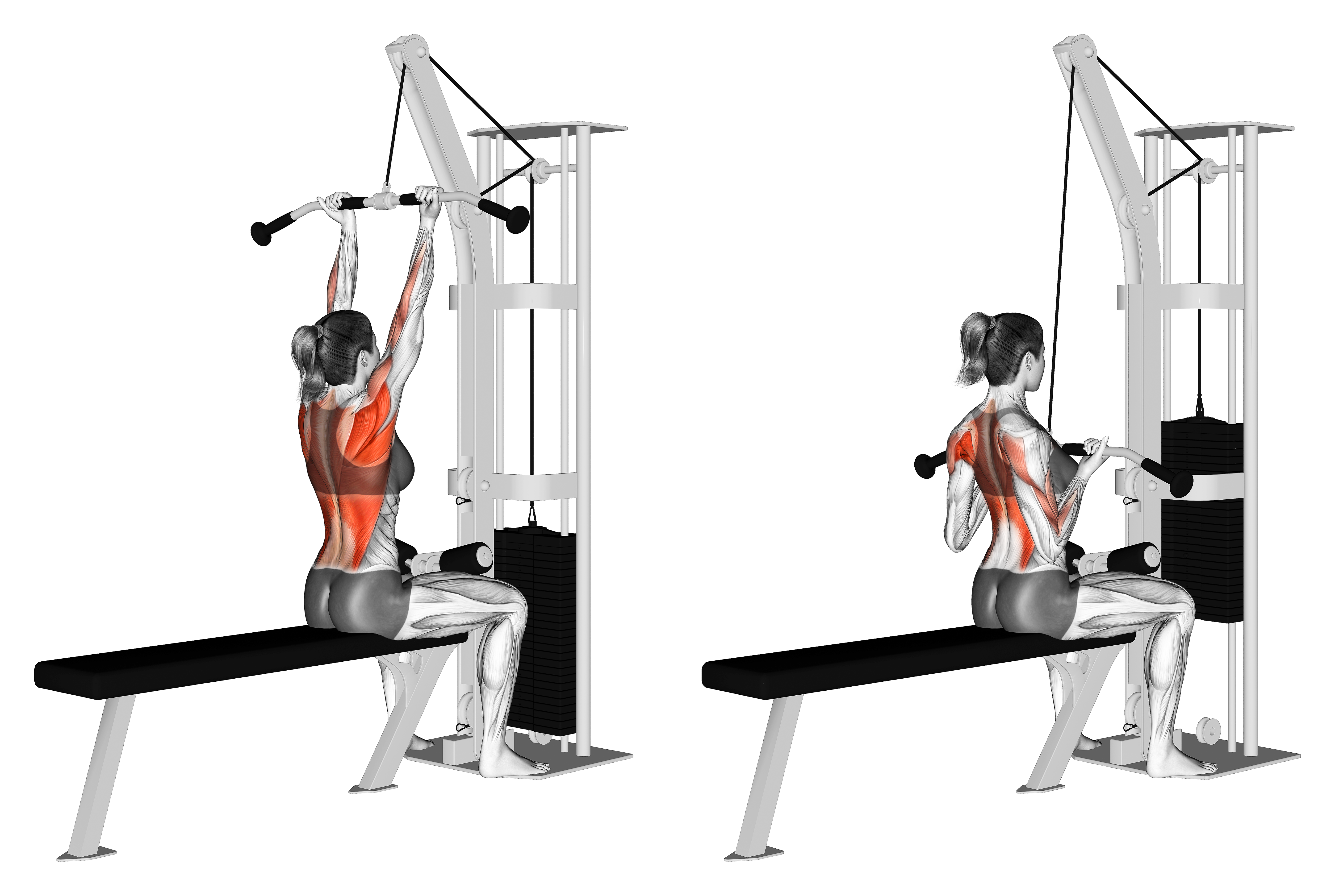 Supinated Lat Pulldown: Benefits, Muscles Worked, and More - Inspire US