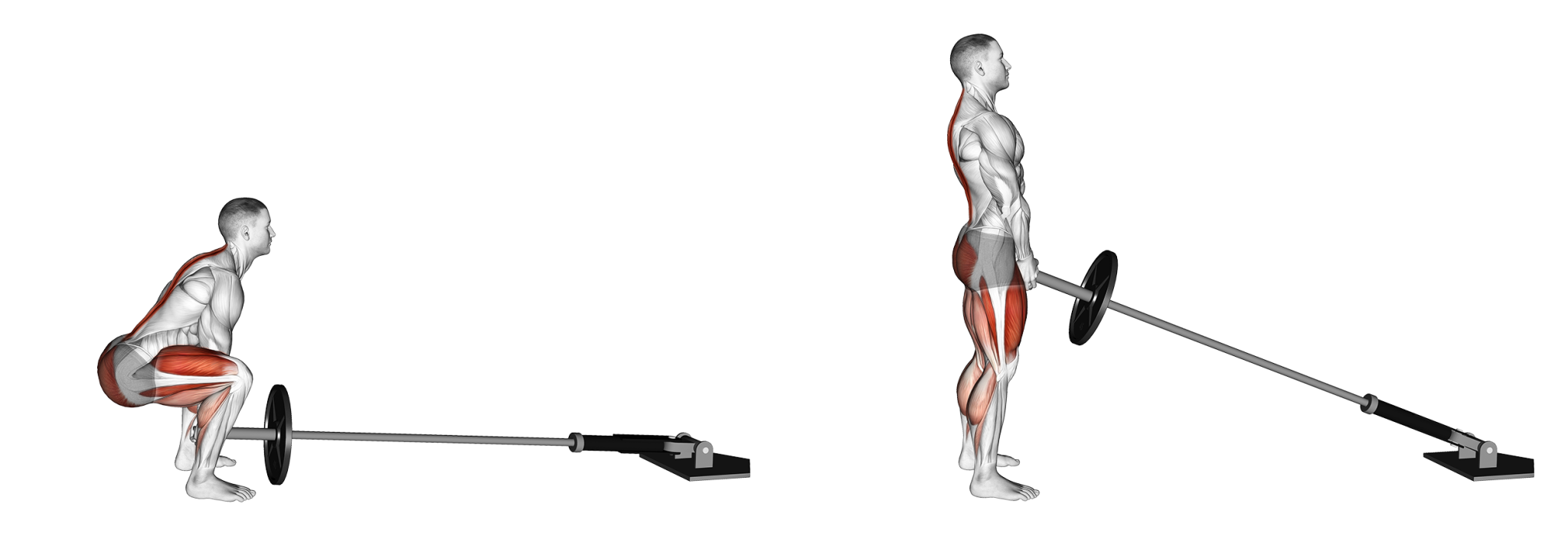 What are the Benefits of Doing Landmine Deadlifts? - Inspire US