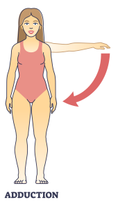 What are the Benefits of Cable Crossovers? - Inspire US