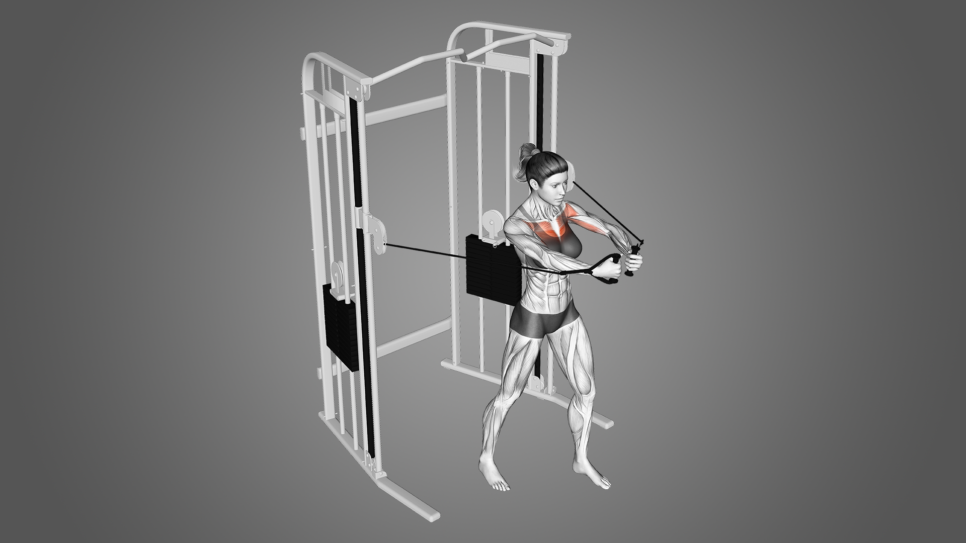 Cable Chest Fly: Muscles Worked and More - Inspire US