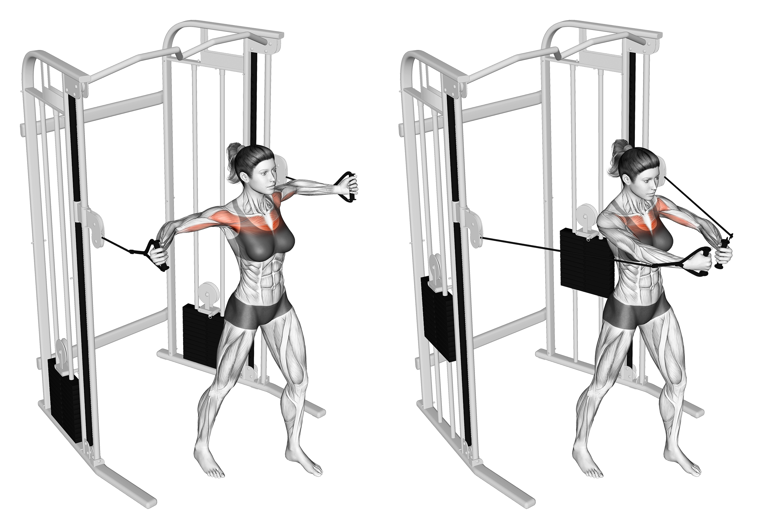 Cable Chest Fly: Muscles Worked and More - Inspire US