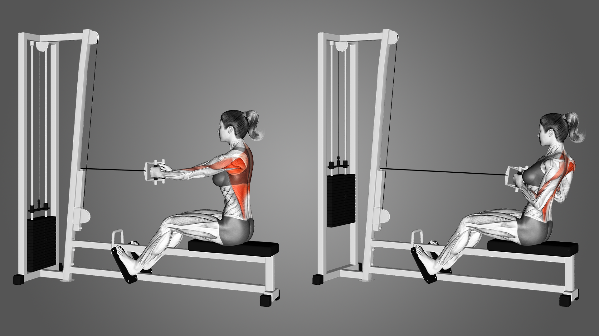 What are the Benefits of Doing Cable Rows? - Inspire US