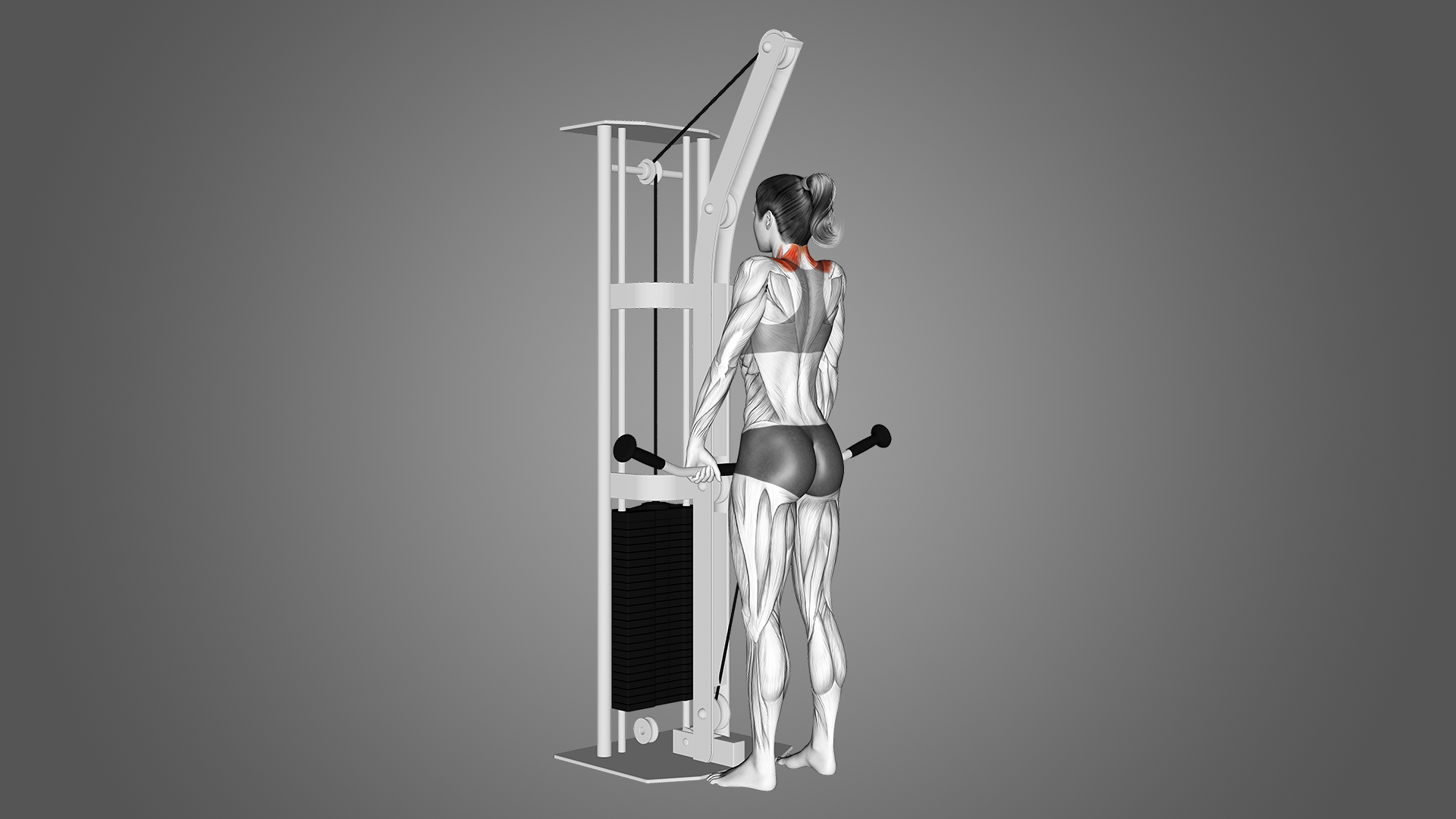 Cable Shrugs: Muscles Worked and More - Inspire US