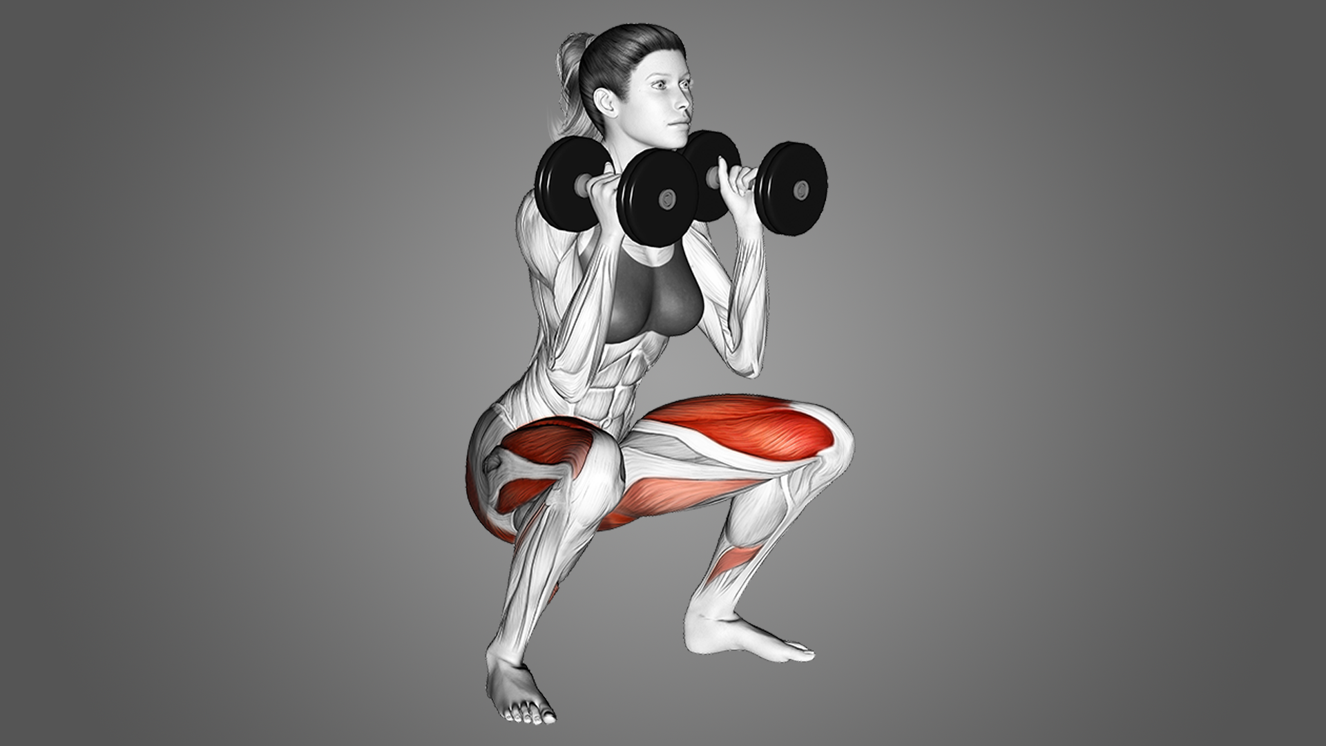Dumbbell Front Squat: Muscles Worked and More - Inspire US