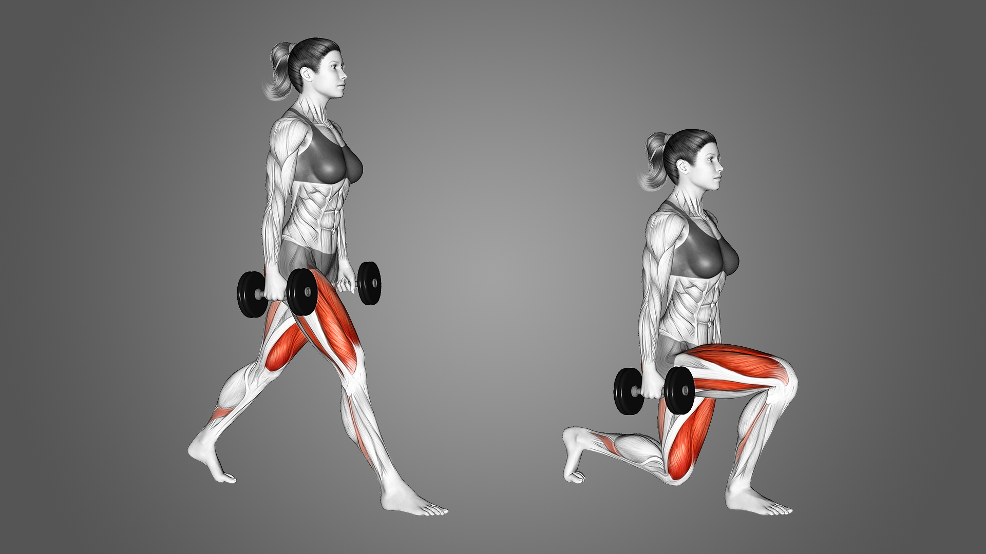 What are the Benefits of Doing Dumbbell Split Squats? - Inspire US