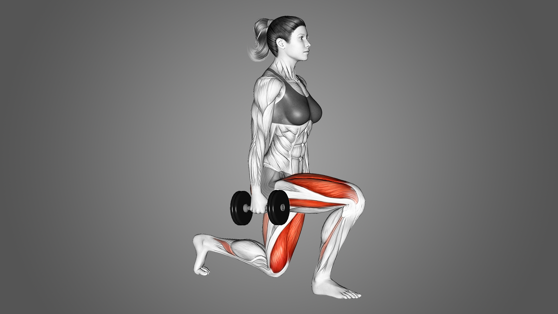 Dumbbell Split Squat: Muscles Worked and More - Inspire US