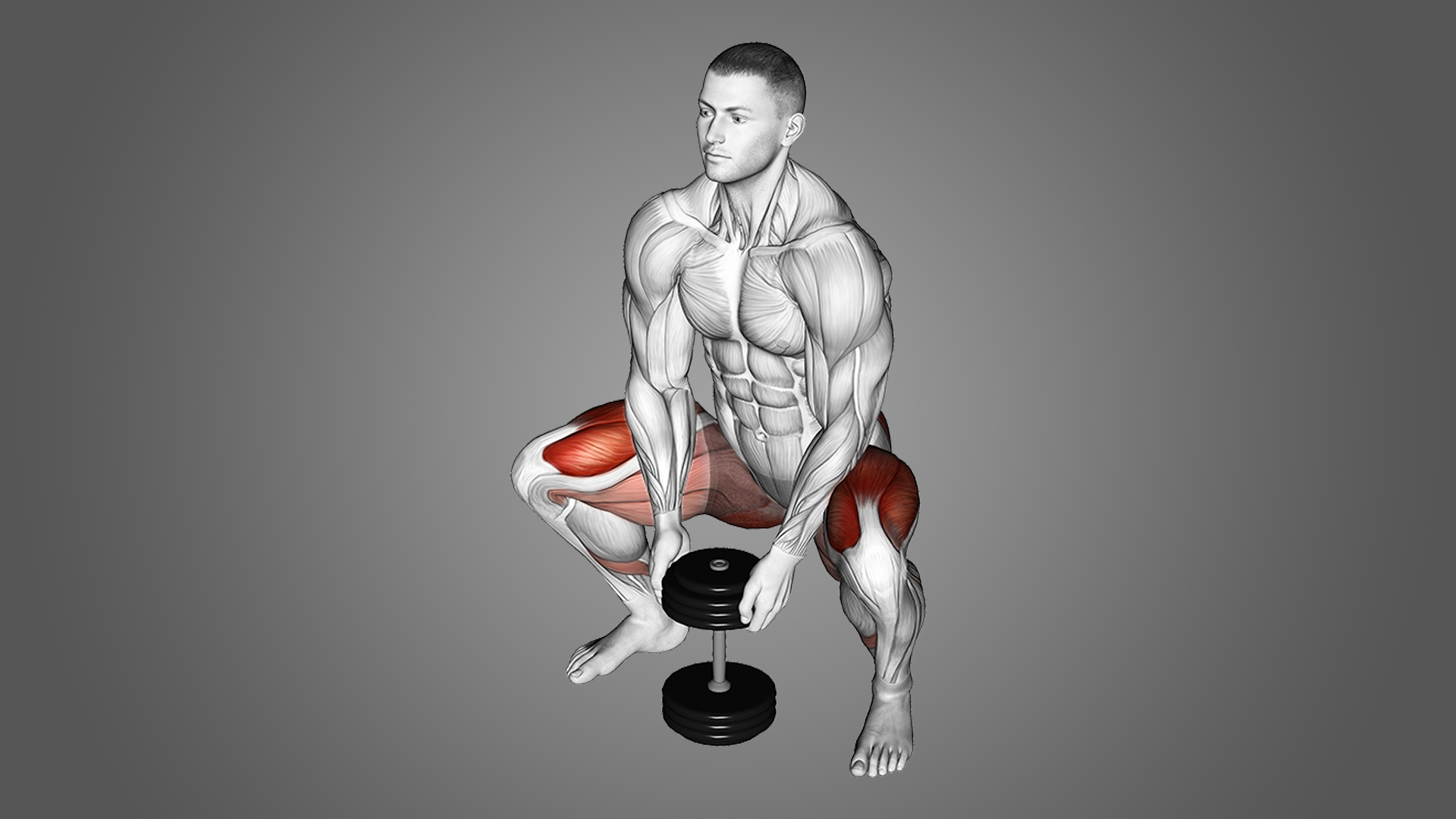 Dumbbell Sumo Squat: Benefits, Muscles Worked, and More - Inspire US