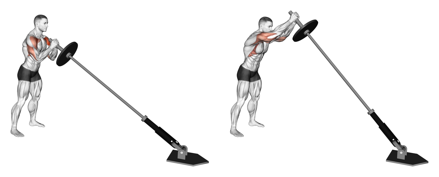 Landmine Press Exercise Overview: Muscles Worked and More - Inspire US