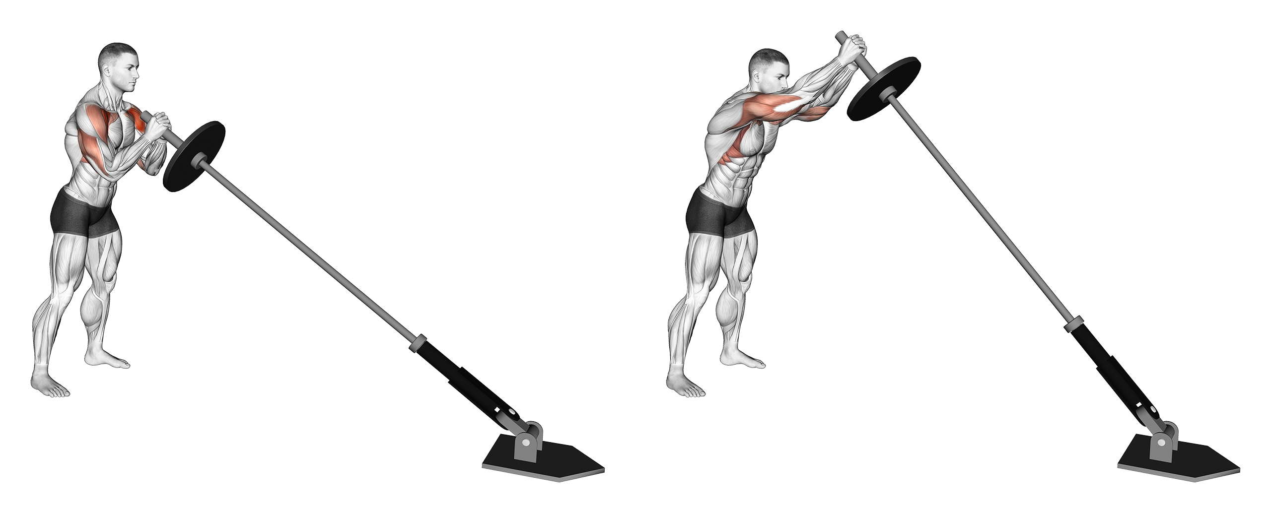 Landmine Press Exercise Overview: Muscles Worked and More - Inspire US