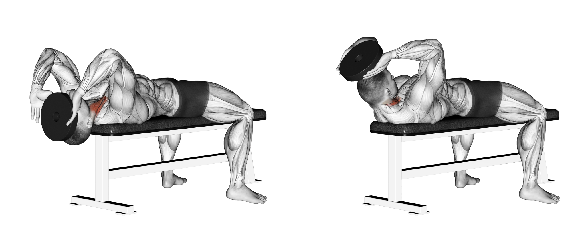 Neck Curls Exercise Overview: Muscles Worked and More - Inspire US