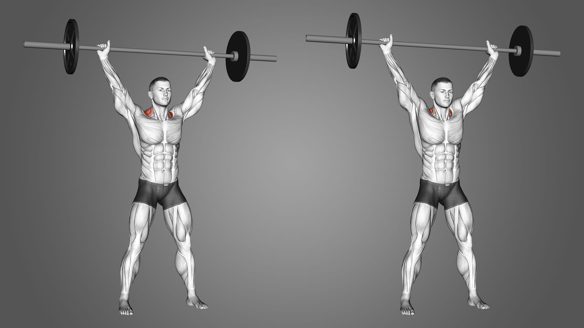 Overhead Shrugs Exercise Overview: Muscles Worked and More - Inspire US