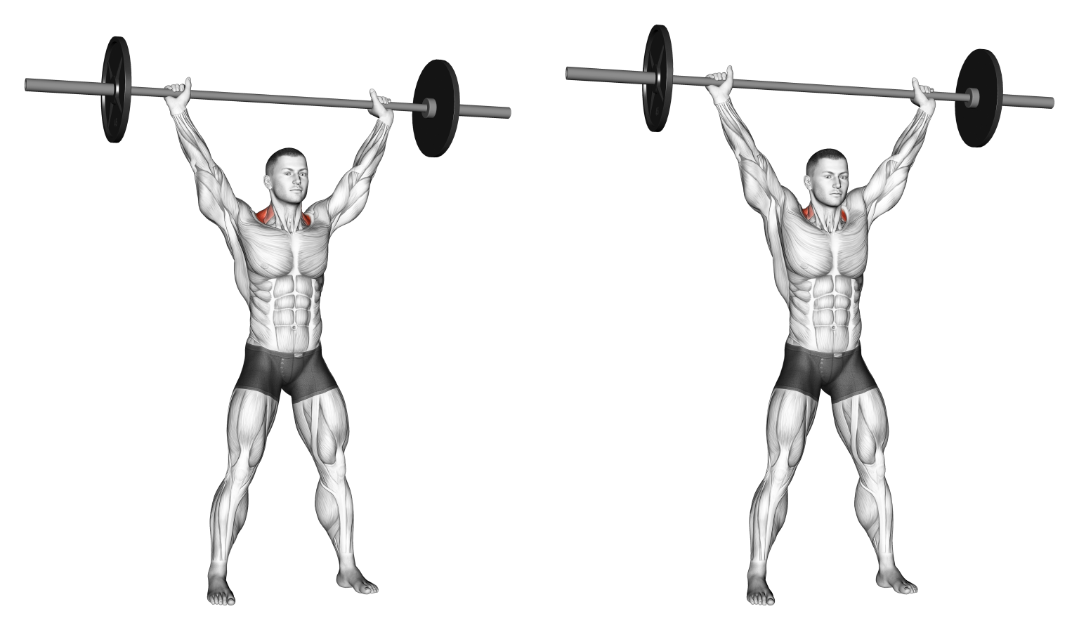 Overhead Shrugs Exercise Overview: Muscles Worked and More - Inspire US