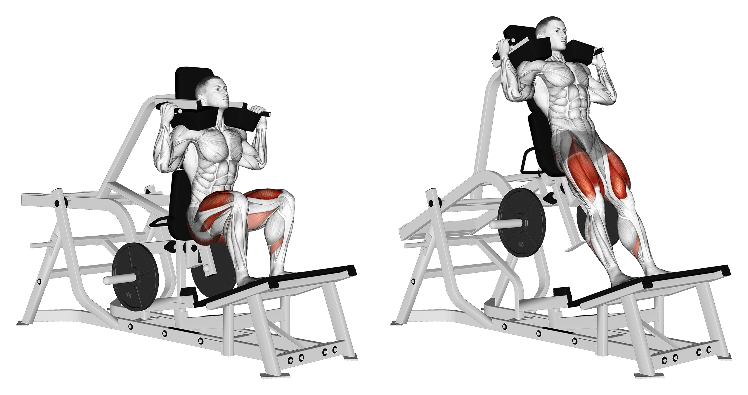 V Squat vs Hack Squat: The Differences Explained - Inspire US