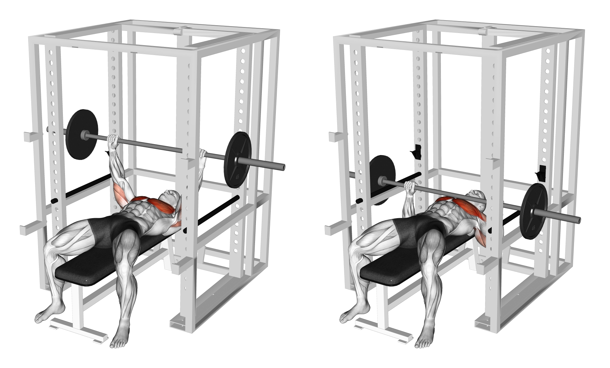 Pin Press: Muscles Worked and More - Inspire US