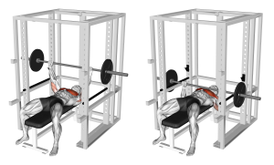 Pin Press: Muscles Worked and More - Inspire US