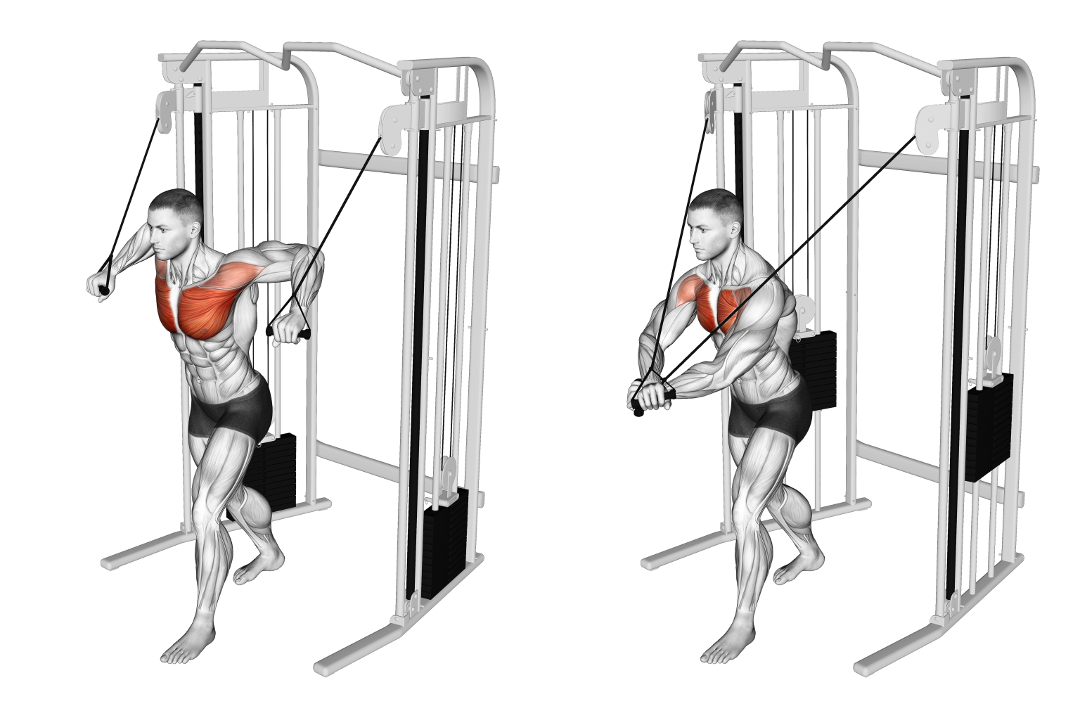 Cable Crossover: Muscles Worked and More - Inspire US