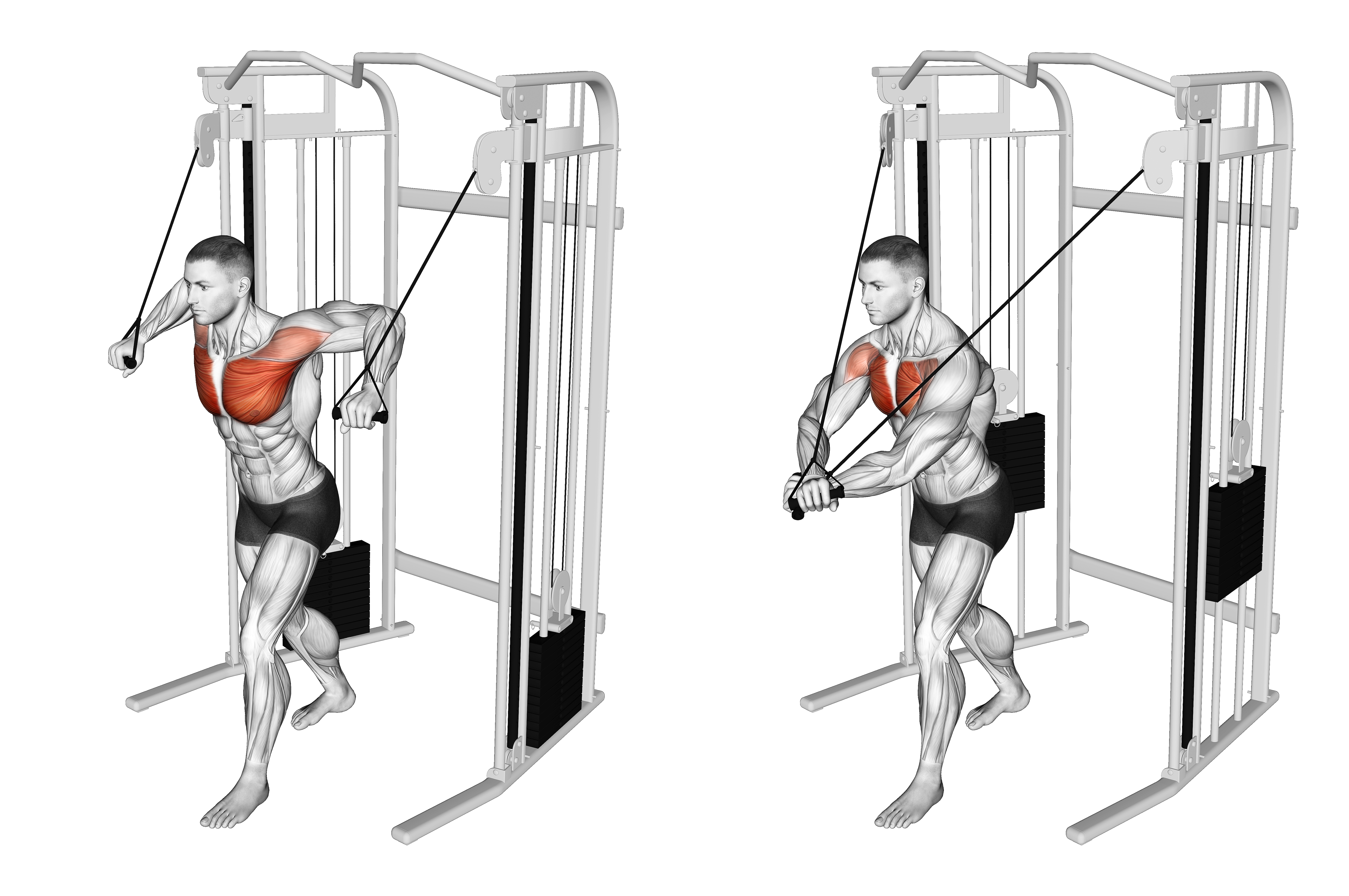 What are the Benefits of Cable Crossovers? - Inspire US