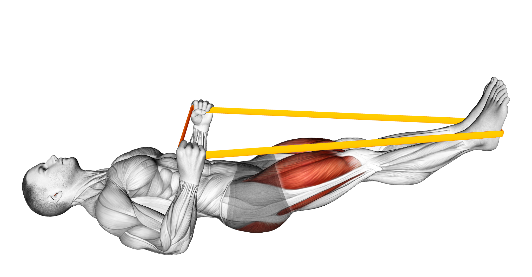 Resistance Band Leg Press: Muscles Worked and More - Inspire US