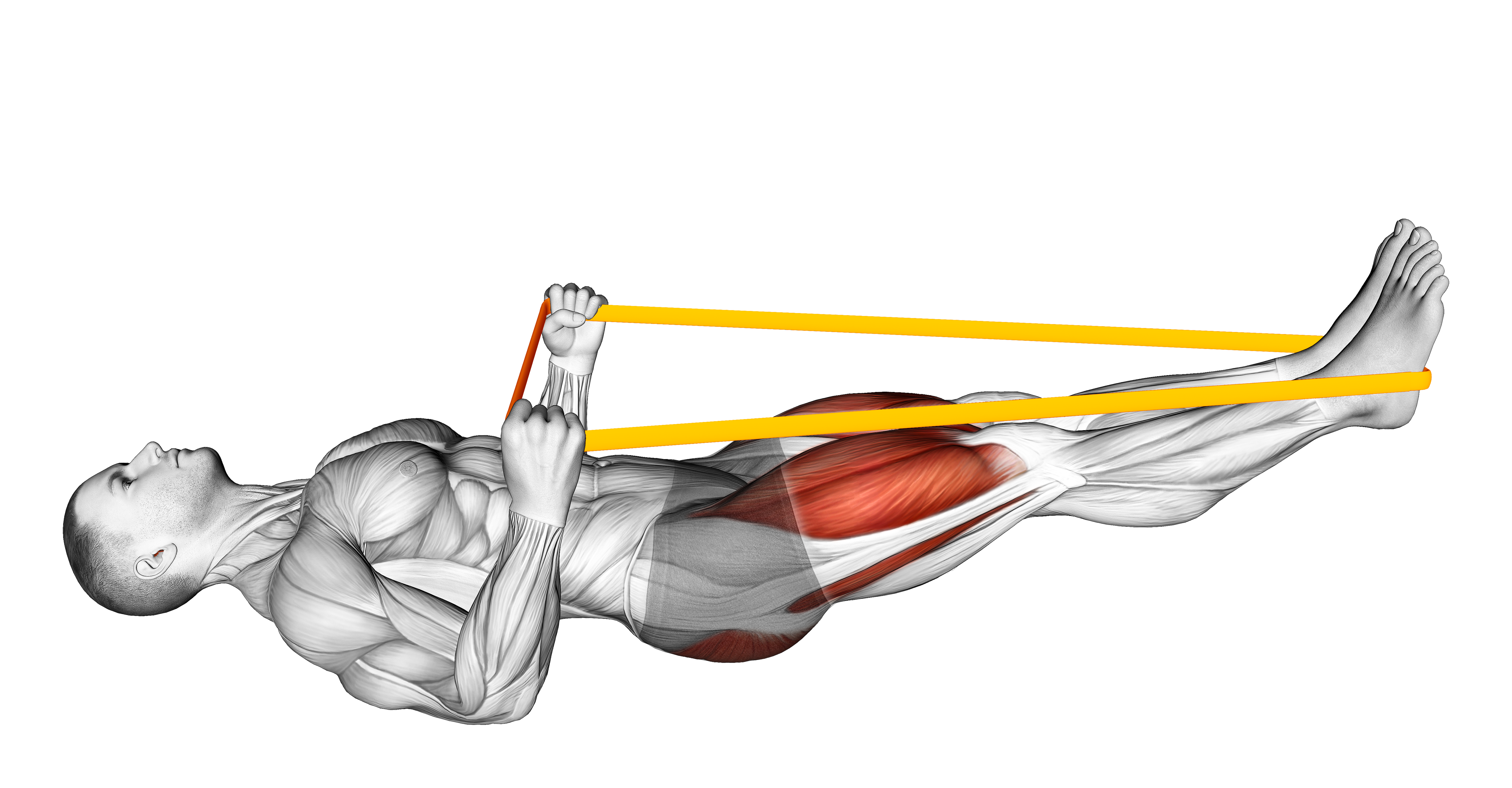 Resistance Band Leg Press: Muscles Worked and More - Inspire US