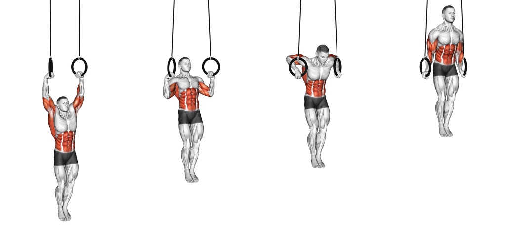 Ring Muscle Ups: Muscles Worked and More - Inspire US