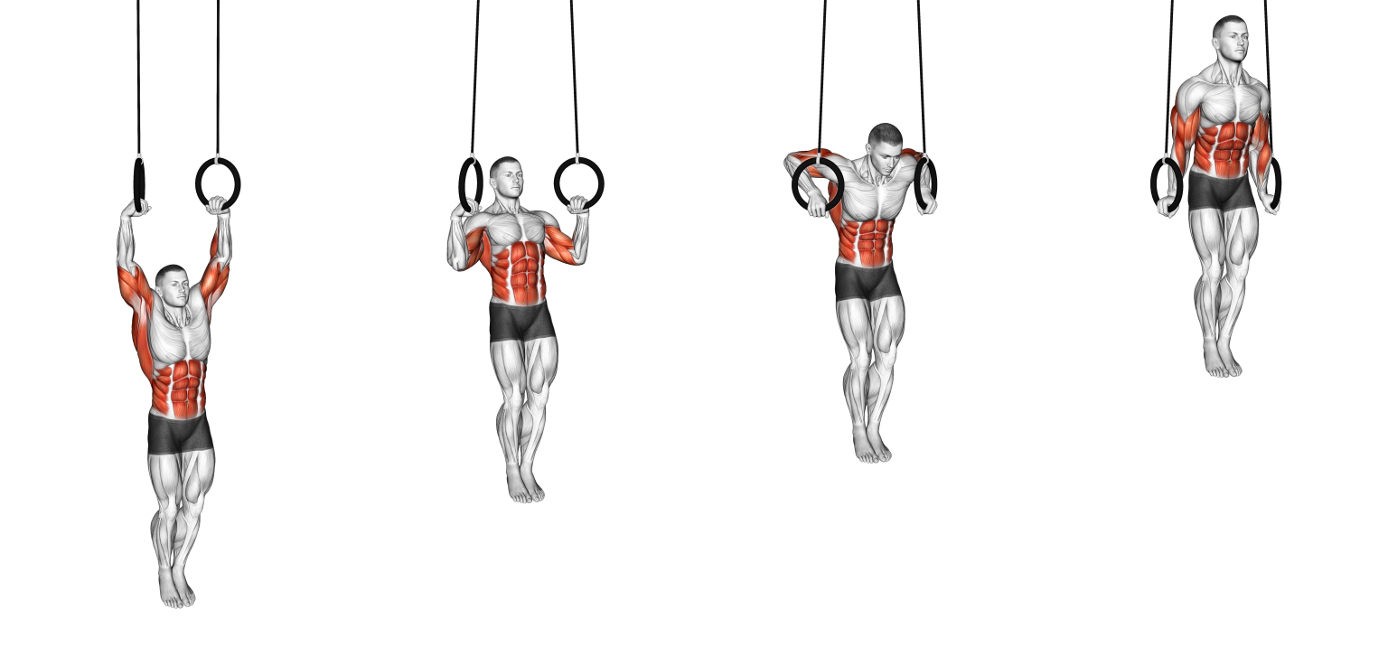 Ring Muscle Ups: Muscles Worked and More - Inspire US